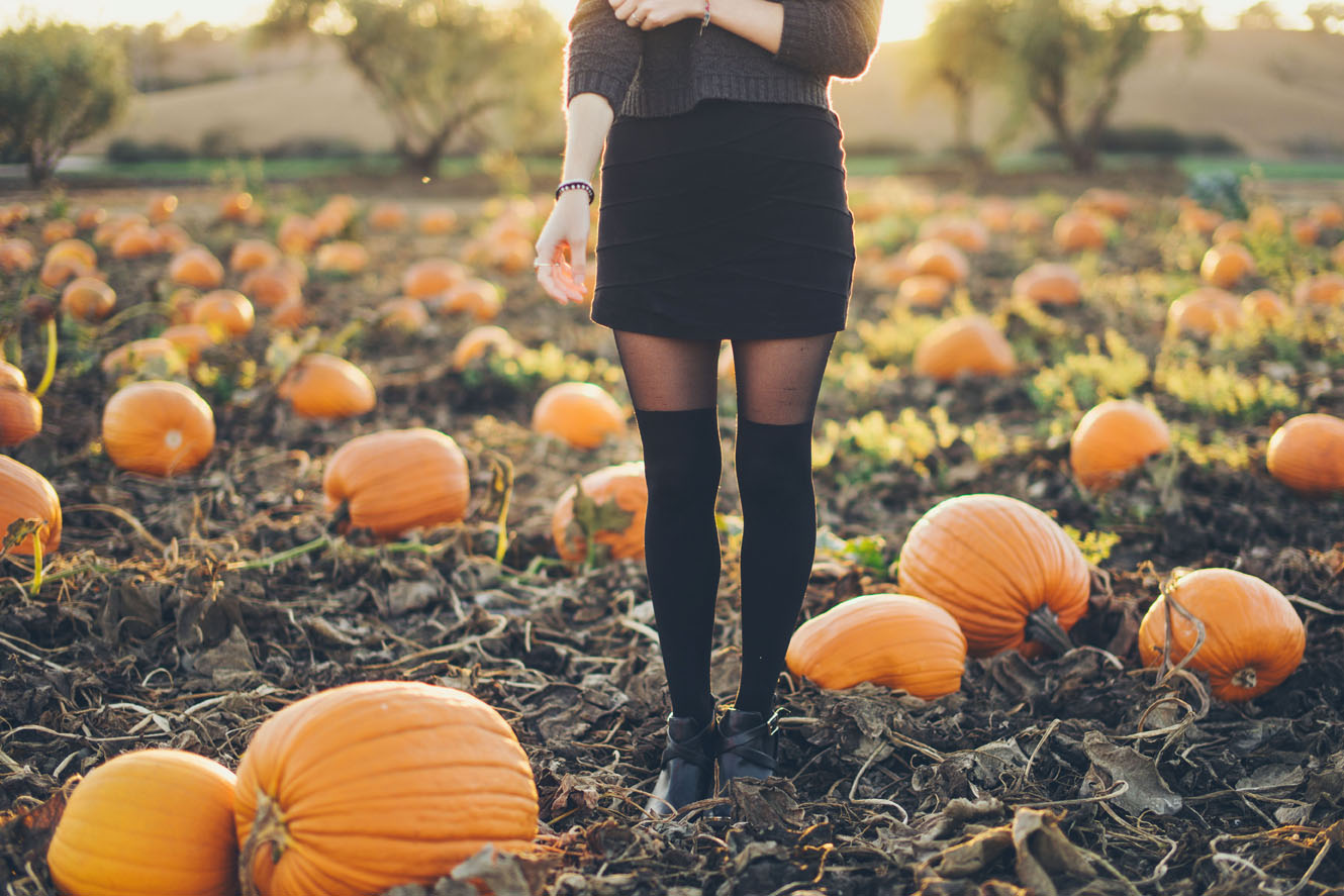 Pumpkin Patch » Michelle Roller
